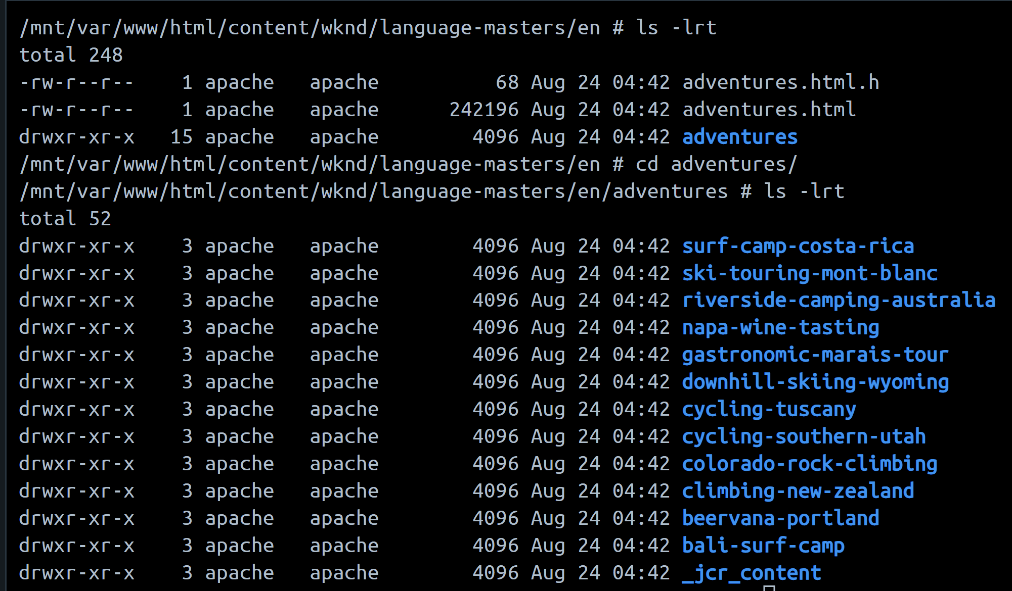 Content Delivery with AEM Dispatcher: A Beginner’s Overview – Adobe Experience Cloud Blog