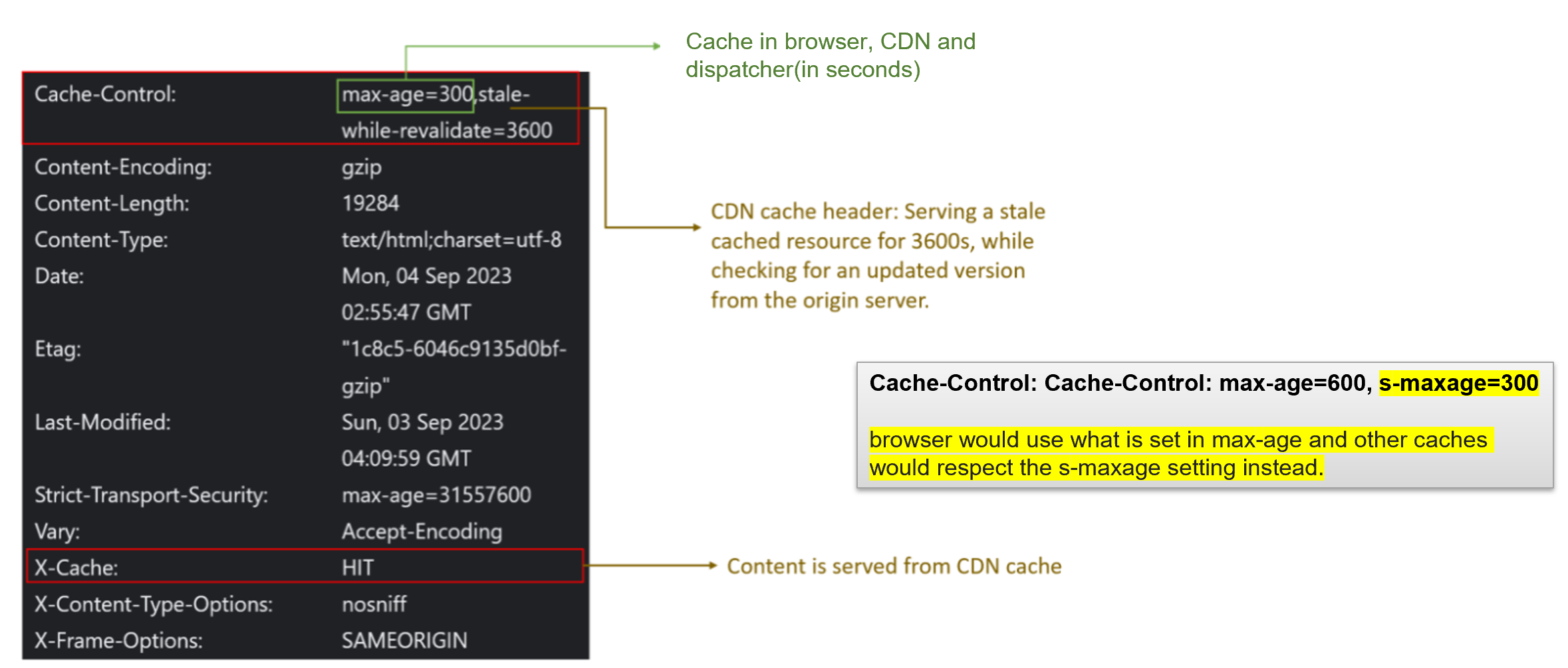 Exploring AEM Request and Response Headers: Analysis of Browser, CDN ...